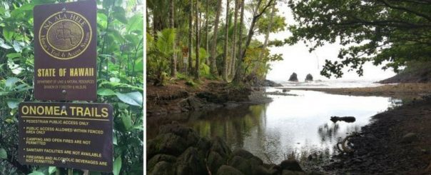 Day 1 – Rainbow Falls, Akaka Falls and Onomea Bay – HomeyHawaii