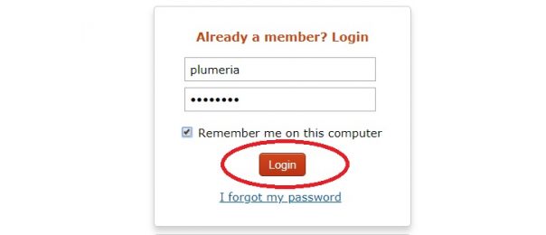 How to Login into Owner Account – HomeyHawaii