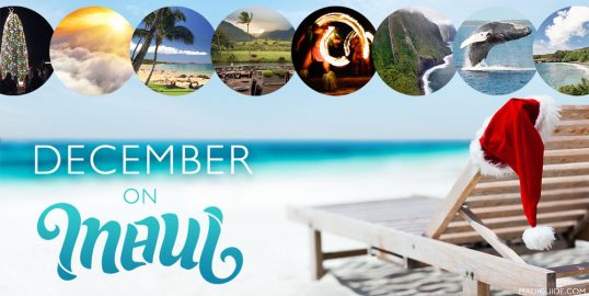 Things to Do on Maui in December – HomeyHawaii
