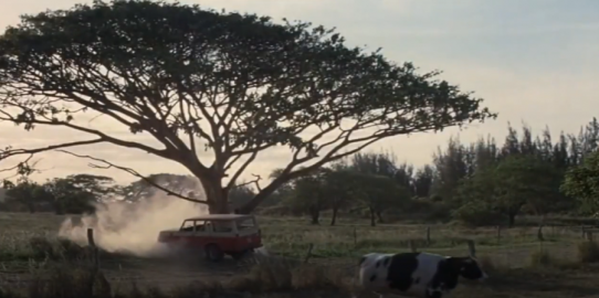 50 First Dates Filming Locations (2004) – HomeyHawaii