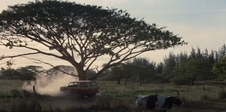 50 First Dates Filming Locations (2004) – HomeyHawaii